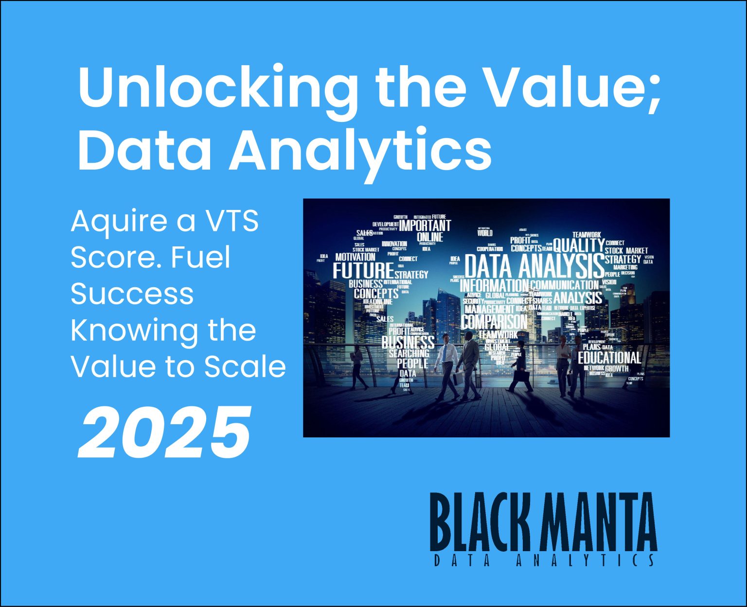 Harnessing the Power of Data Analytics | Black Manta Data Analytics